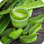 What are The Amazing Aloe Vera Benefits and Uses for Health?