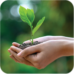 Go Green and Check the Importance of World Environment Day