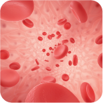 RBC Normal Range (Red Blood Cell ): Test, Symptoms, Causes