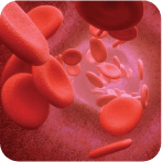 Everything you need to know about platelets count!