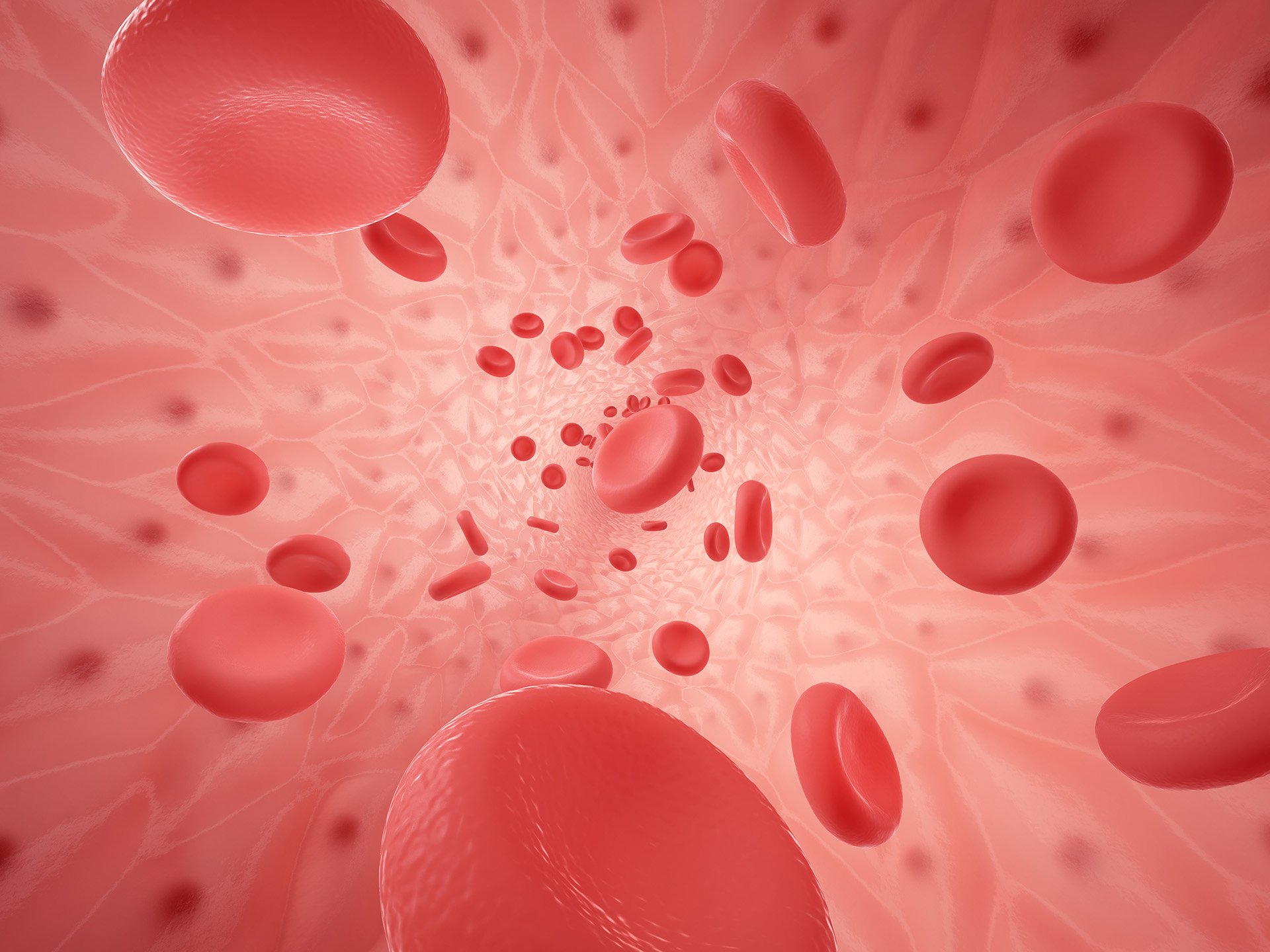 Complete Blood Count (CBC) Test: Normal Ranges, Procedure