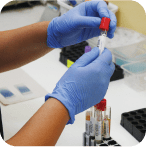 Role of immunity blood test in boosting immune system