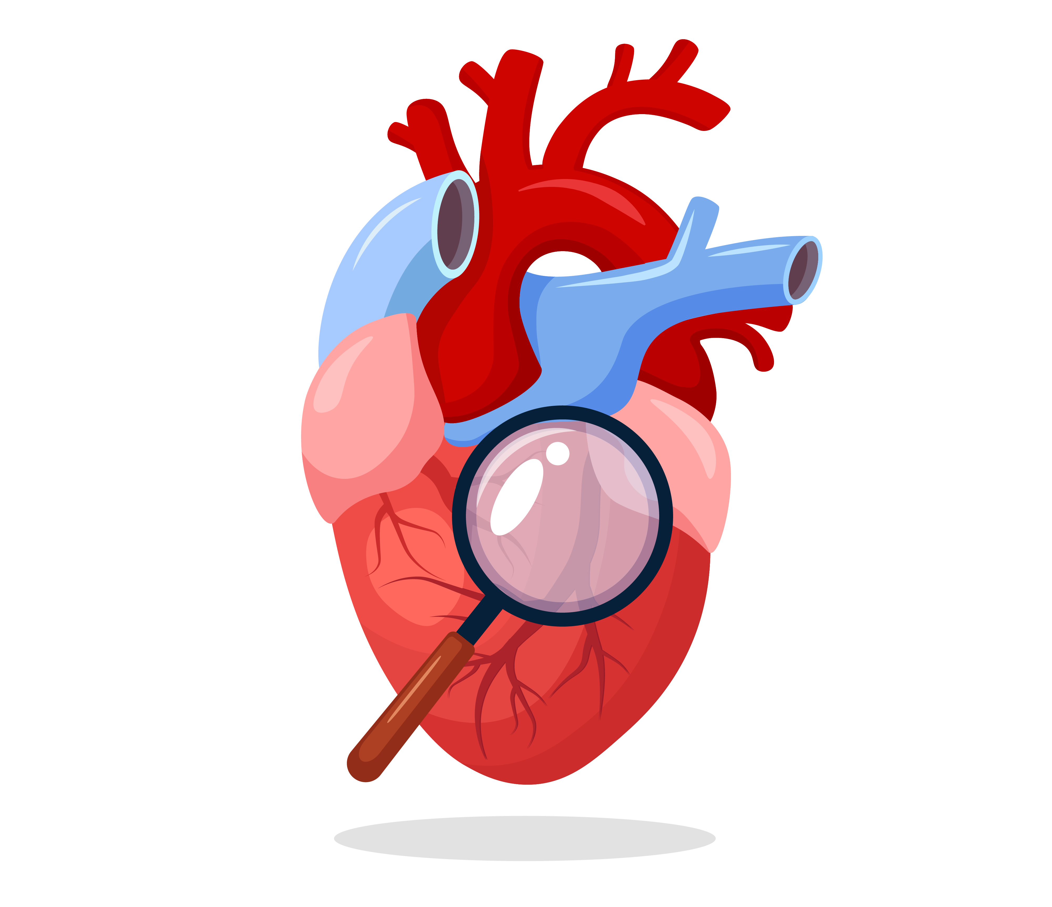 Congenital heart disease, its types, symptoms, and treatment