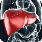 Aspartate Aminotransferase (AST) Blood Testing: Normal Range