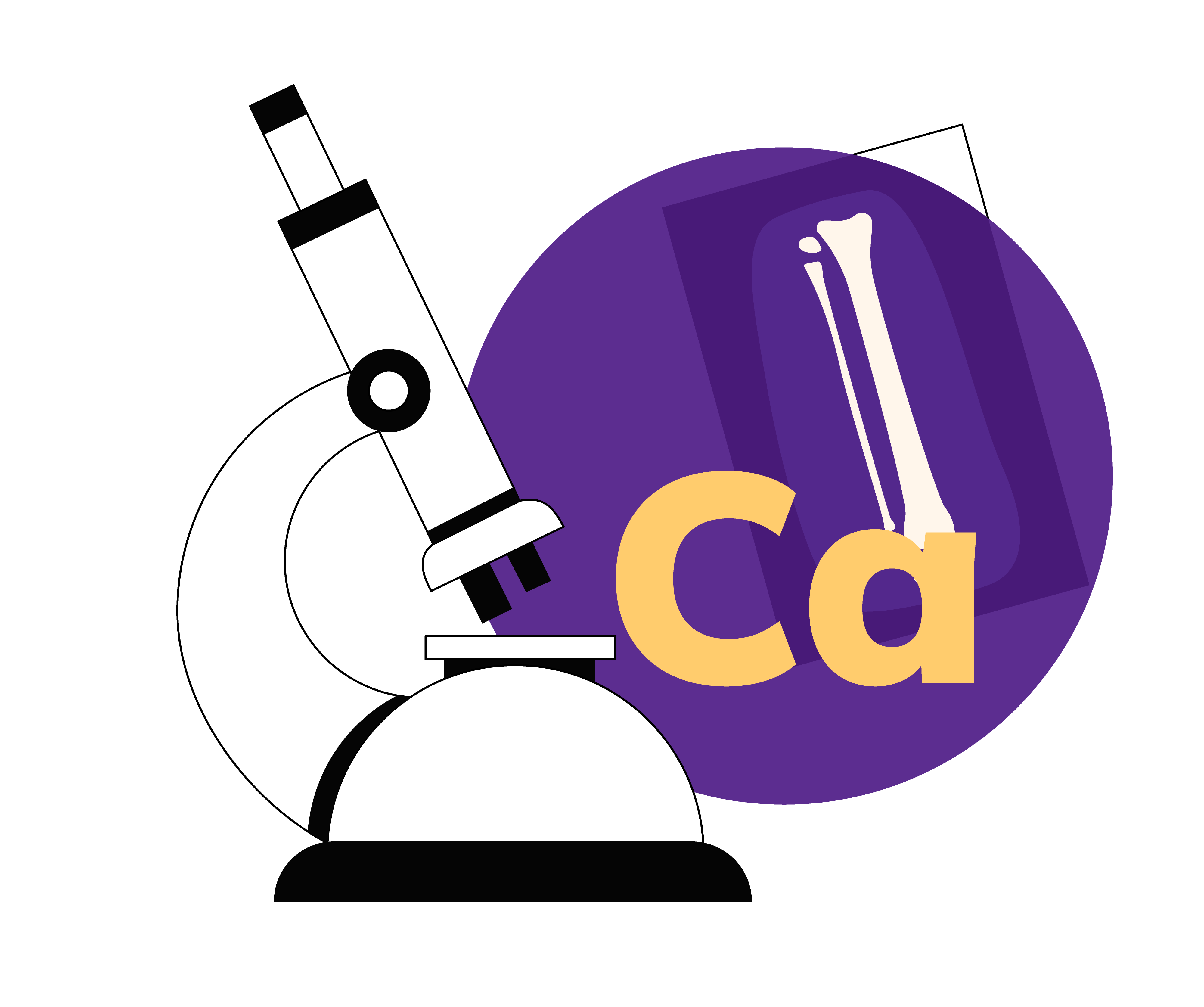 Calcium Blood Test: Purpose, Procedure & Results