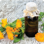 Calendula: Health Benefits, Side Effects, and Dosage