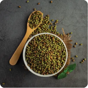 Sprouts’ Benefits: All You Need to Know