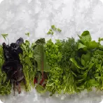 Healthy Balanced Diet: Meaning, Importance, and Food List