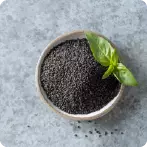Sabja Seeds (Basil Seeds): Nutrition, Benefits, Uses, Recipes