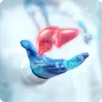 Liver Function Test (LFT): Normal Range, Purpose, Types